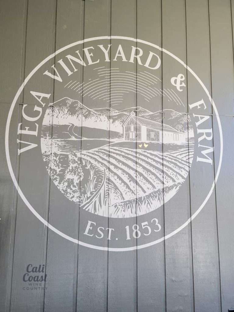 Vega Vineyard & Farm